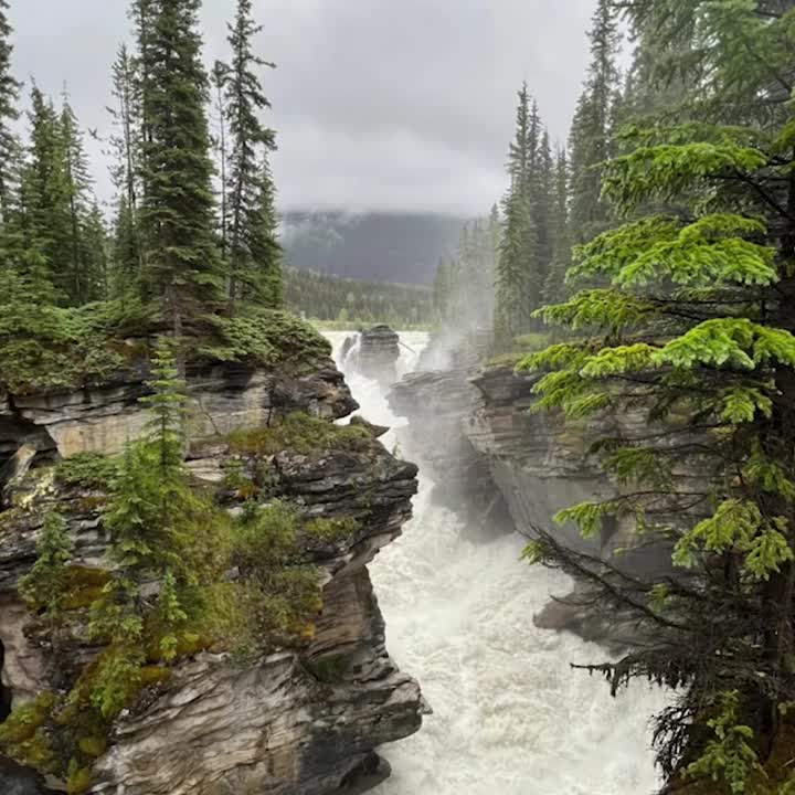 Amandeep Kaur Jaura on LinkedIn: Canada Day Amandeep Kaur Jaura on LinkedIn: Canada Day