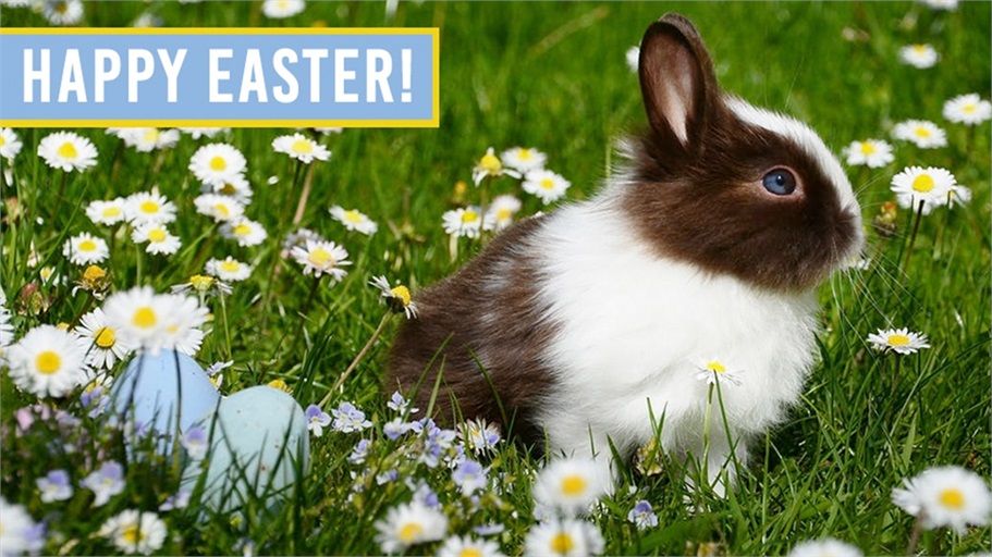 David Hoffmann, CFP®, AIF®, CPFA® on LinkedIn: #happyeaster David Hoffmann, CFP®, AIF®, CPFA® on LinkedIn: #happyeaster