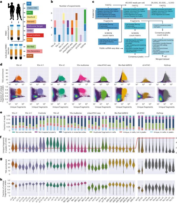 #genomics #sequencing #genomics #scatacseq #sequencing | Hegel Hernandez #genomics #sequencing #genomics #scatacseq #sequencing | Hegel Hernandez