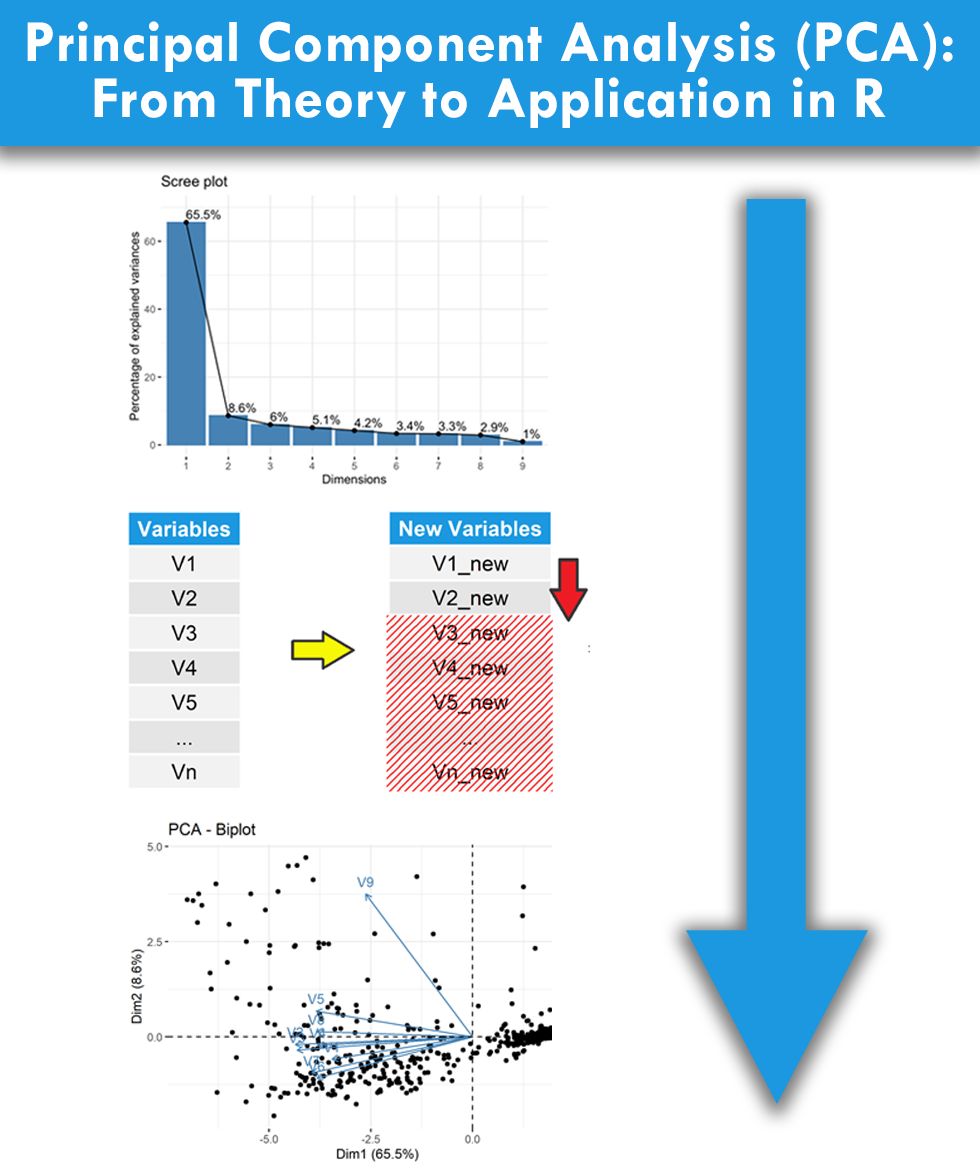 Joachim Schork on LinkedIn: #analytics #dataviz #database # ... Joachim Schork on LinkedIn: #analytics #dataviz #database # ...