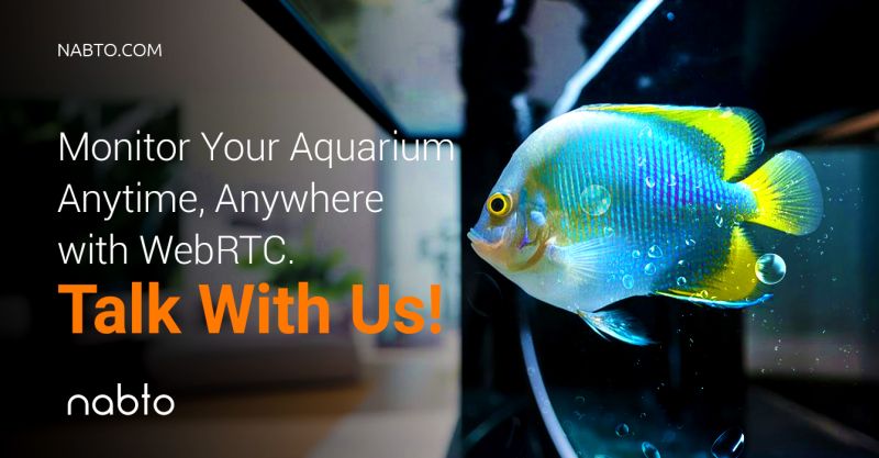 #webrtc #smarthome #iot #fishtank #connecteddevices | Nabto #webrtc #smarthome #iot #fishtank #connecteddevices | Nabto