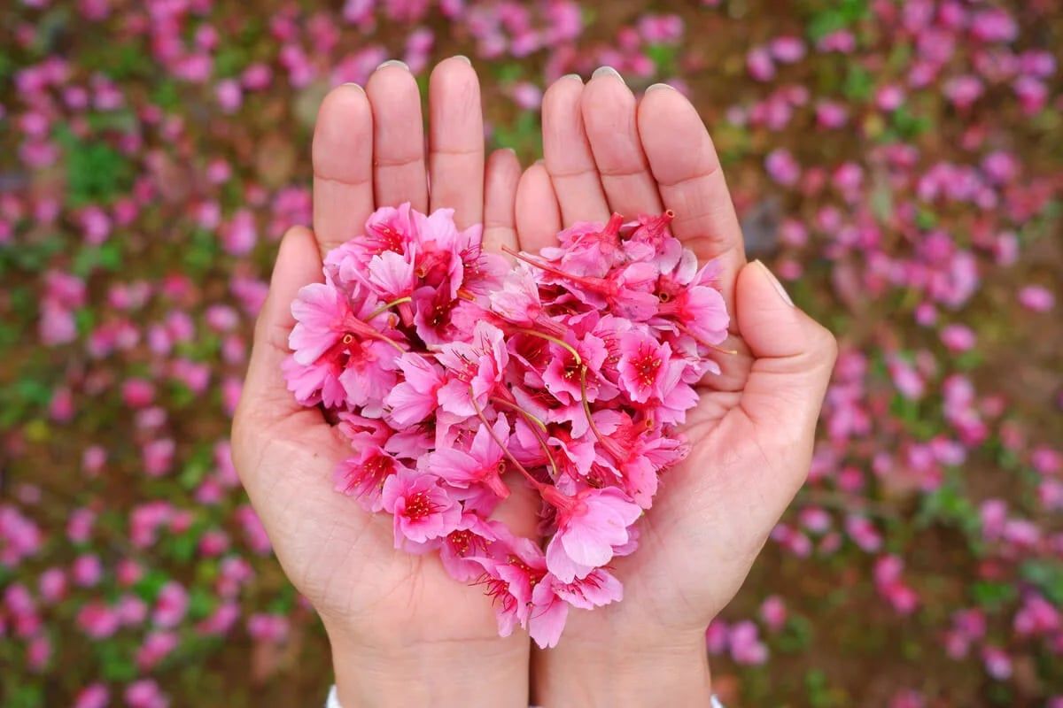 Irene Alonso Berges on LinkedIn: Si das mucho es porque eres mucho ... Irene Alonso Berges on LinkedIn: Si das mucho es porque eres mucho ...