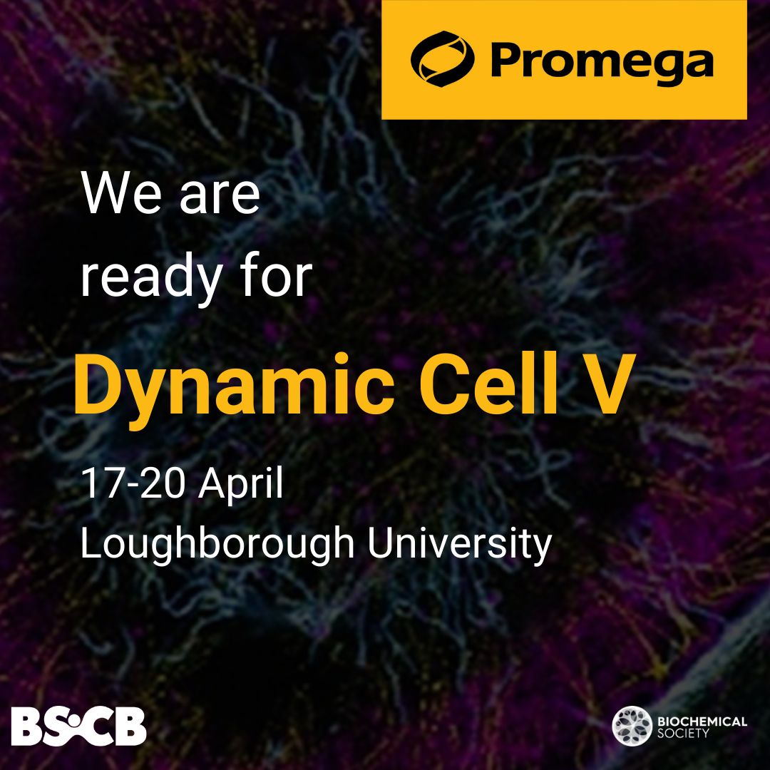 Promega UK on LinkedIn: #labchat #cellbiology #bscb Promega UK on LinkedIn: #labchat #cellbiology #bscb