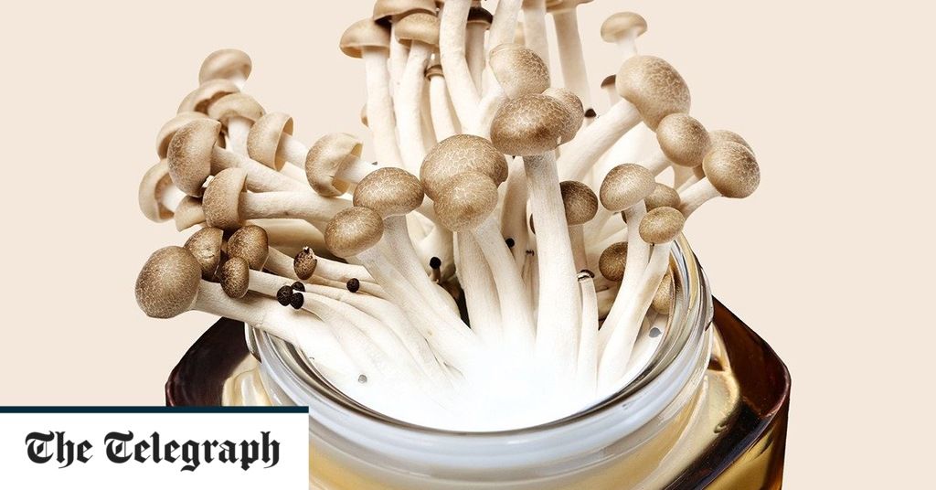 DeeDee O'Neill PA-C, Nutritional Psychiatry posted on LinkedIn DeeDee O'Neill PA-C, Nutritional Psychiatry posted on LinkedIn