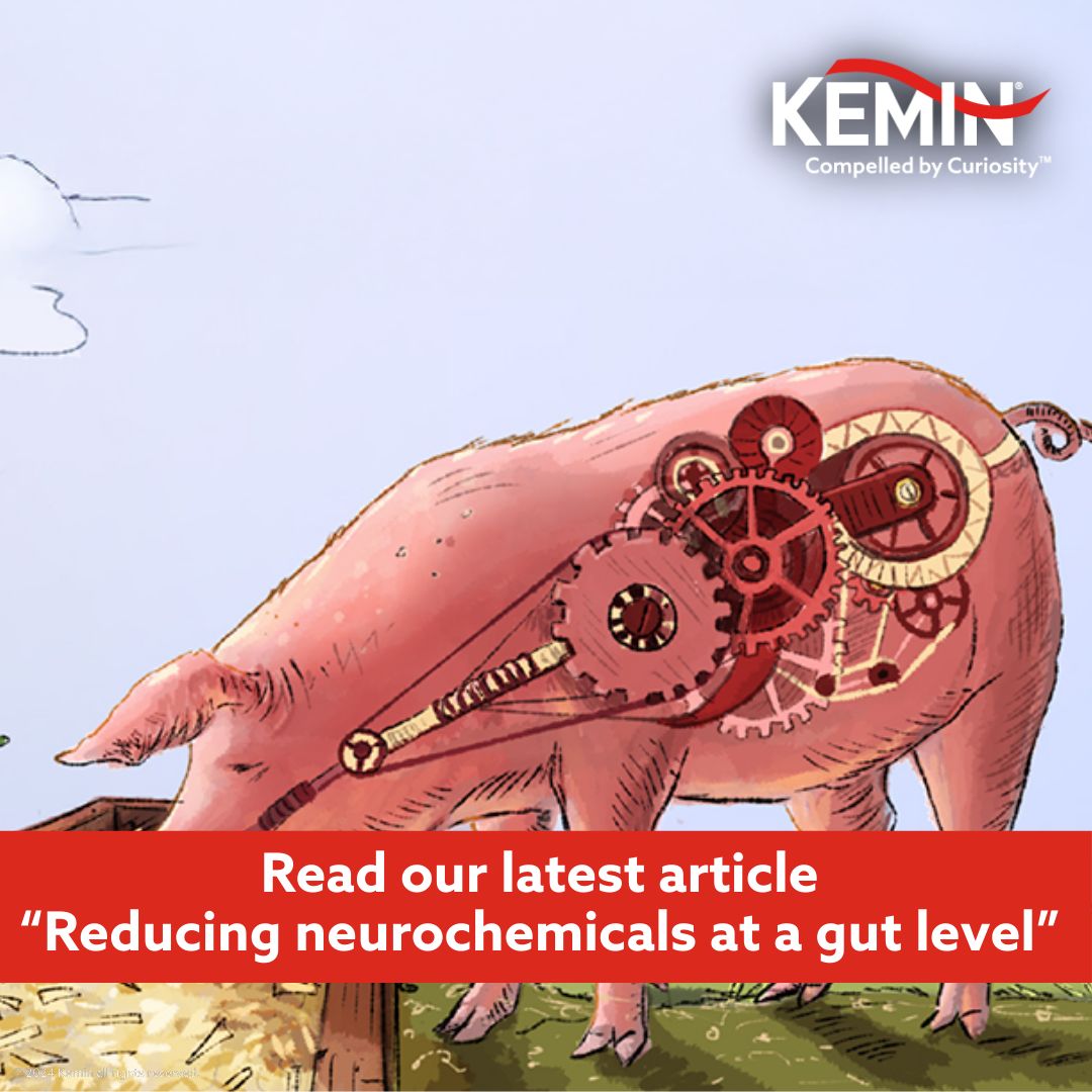 #kemin #animalhealth #pighealth #pigproduction #microbiome #guthealth ... #kemin #animalhealth #pighealth #pigproduction #microbiome #guthealth ...