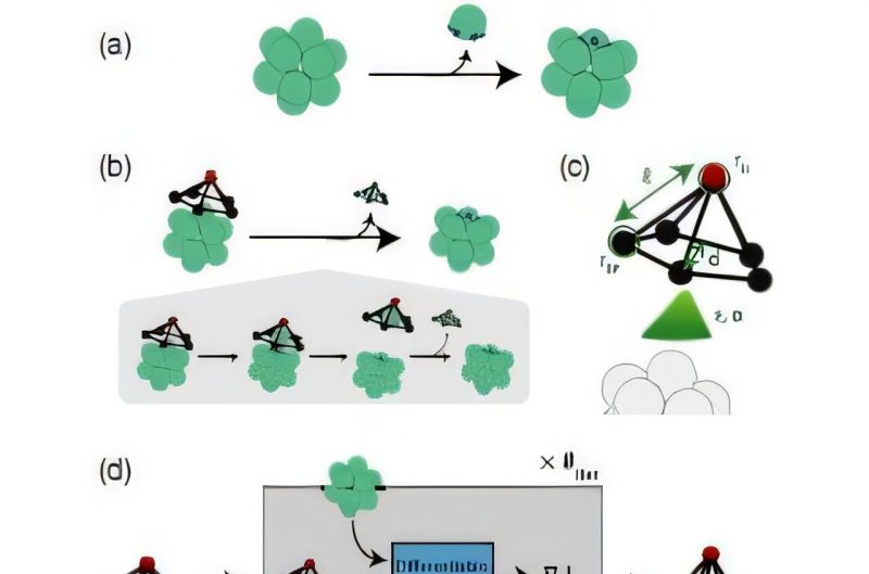 Phys.org on LinkedIn: Scientists use machine learning to develop an ... Phys.org on LinkedIn: Scientists use machine learning to develop an ...