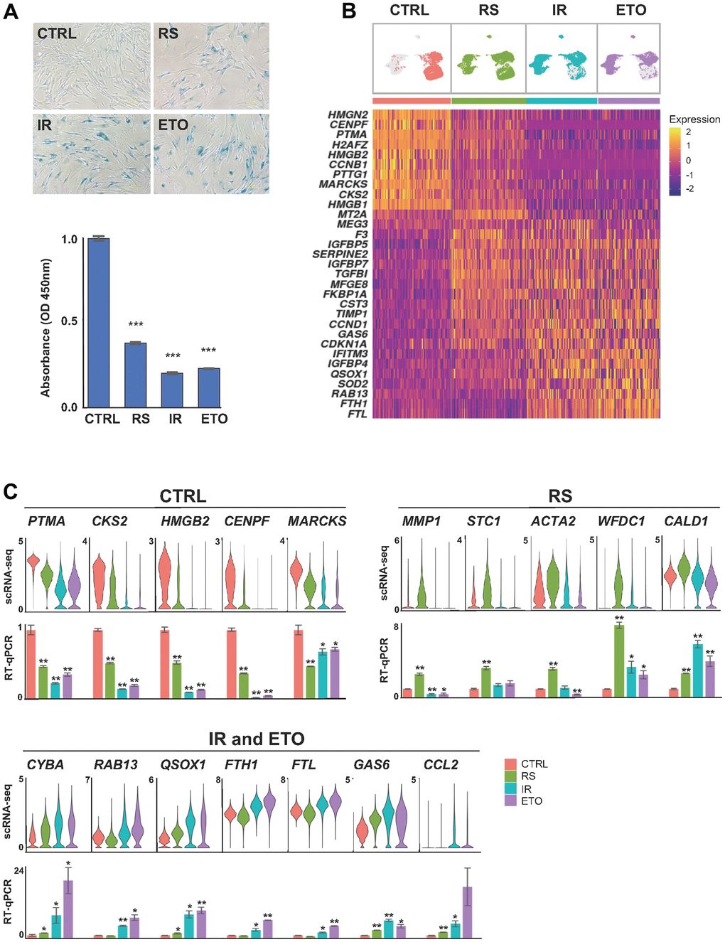 Aging (Aging-US) on LinkedIn: Single-cell transcriptomic analysis ... Aging (Aging-US) on LinkedIn: Single-cell transcriptomic analysis ...