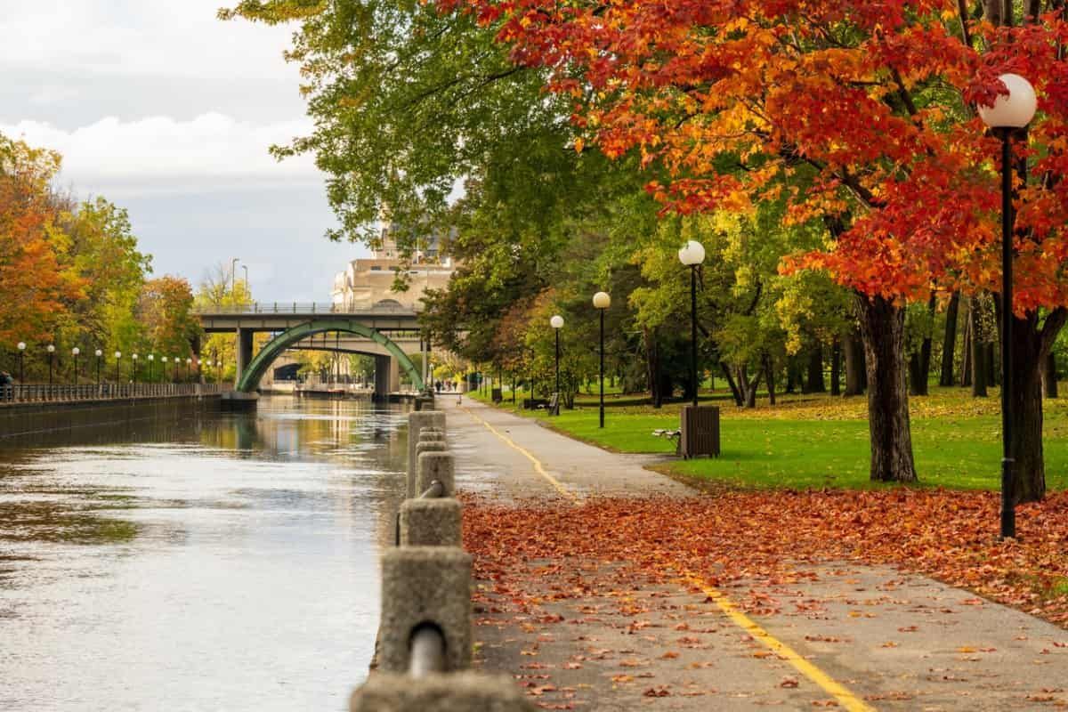 CanadaVisa.com - Cohen Immigration Law on LinkedIn: Annual study finds ... CanadaVisa.com - Cohen Immigration Law on LinkedIn: Annual study finds ...