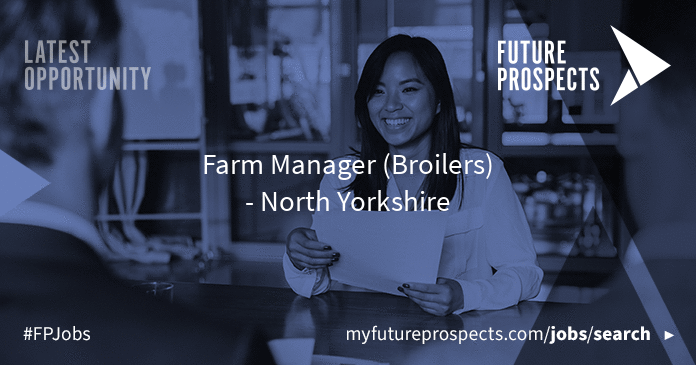 Future Prospects Group on LinkedIn: #boston Future Prospects Group on LinkedIn: #boston