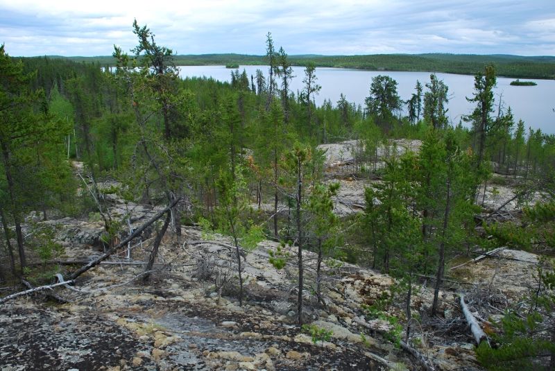 Phys.org on LinkedIn: New study shows surprising effects of fire in ... Phys.org on LinkedIn: New study shows surprising effects of fire in ...