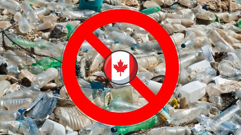 Chemical Compliance.CA on LinkedIn: How can Canada reduce plastic food ... Chemical Compliance.CA on LinkedIn: How can Canada reduce plastic food ...