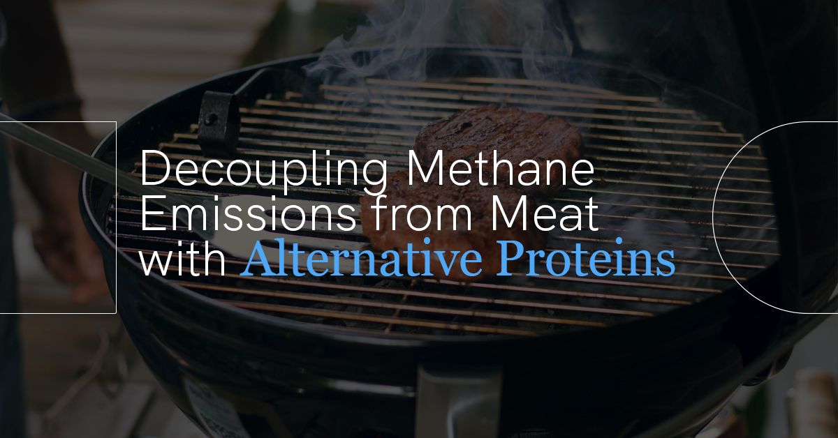 Sheila Voss on LinkedIn: Decoupling Methane Emissions from Meat with ... Sheila Voss on LinkedIn: Decoupling Methane Emissions from Meat with ...