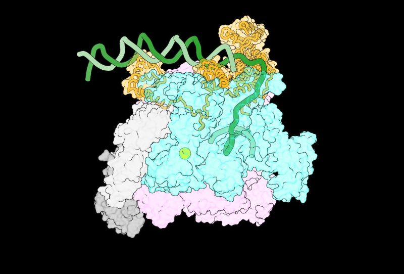 VTB |γVγπγBγCastsβ on LinkedIn: Researchers Capture Never-Before-Seen ... VTB |γVγπγBγCastsβ on LinkedIn: Researchers Capture Never-Before-Seen ...