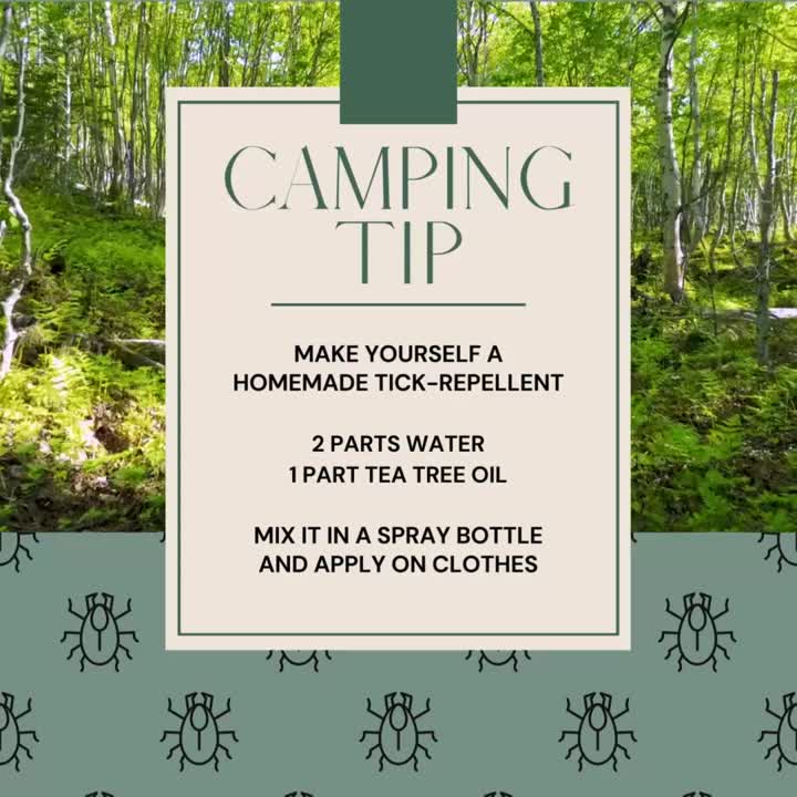 Meyers RV Superstores on LinkedIn: ☀️ Don't let ticks spoil your ... Meyers RV Superstores on LinkedIn: ☀️ Don't let ticks spoil your ...