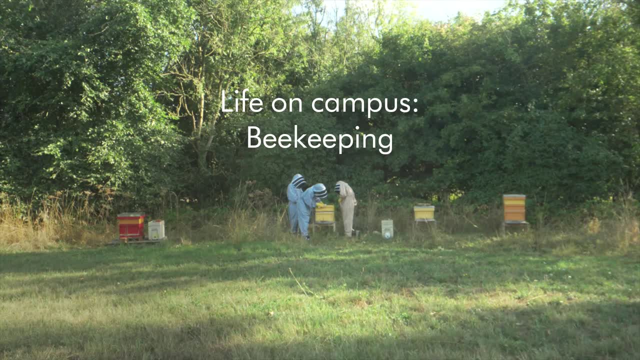 Claire Kimble on LinkedIn: Life on Campus: Beekeeping Claire Kimble on LinkedIn: Life on Campus: Beekeeping