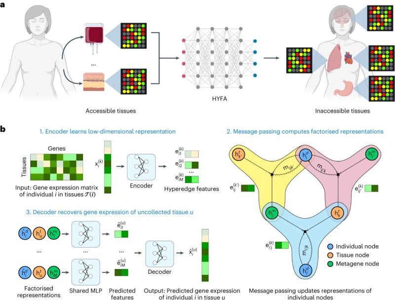 Phys.org on LinkedIn: Researchers develop method to predict gene ... Phys.org on LinkedIn: Researchers develop method to predict gene ...