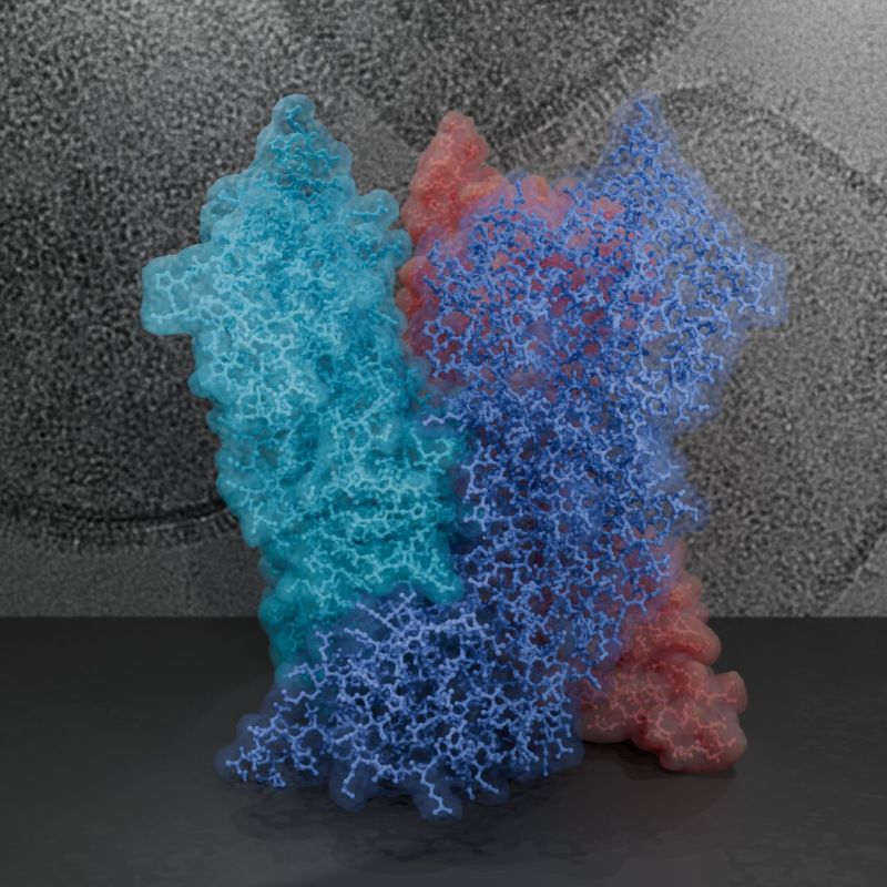 Phys.org on LinkedIn: Researchers uncover the architecture of poxvirus ... Phys.org on LinkedIn: Researchers uncover the architecture of poxvirus ...