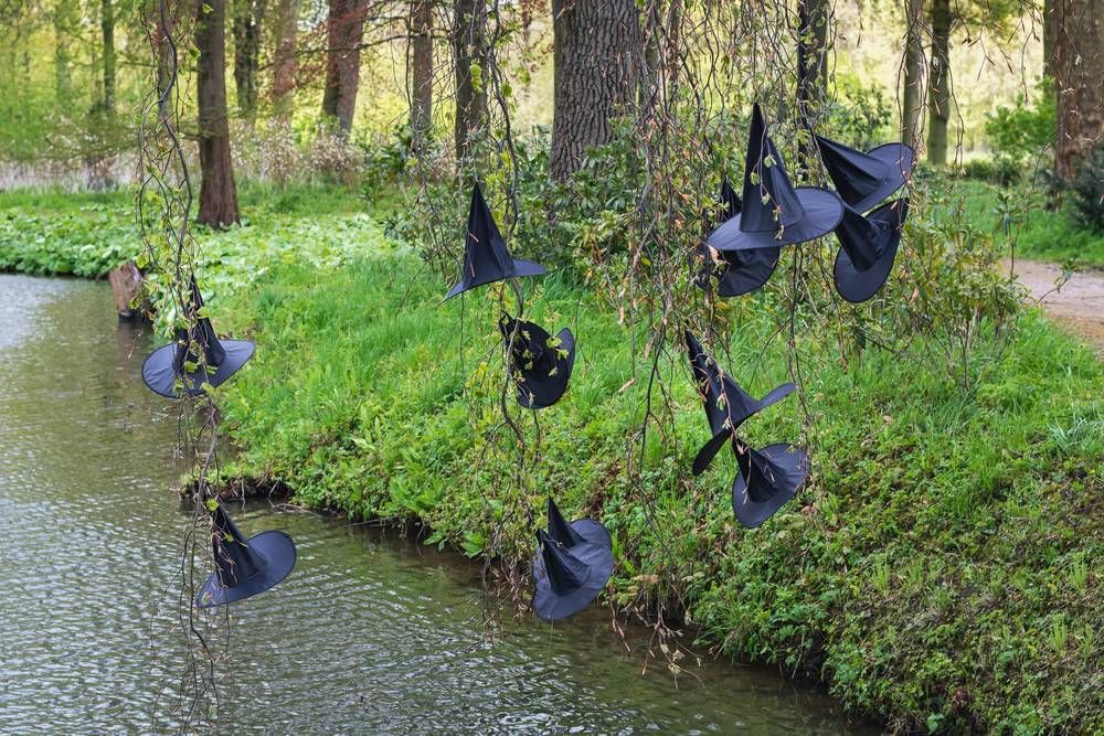 Lawrence Forester on LinkedIn: 5 Best Outdoor Halloween Decoration Ideas Lawrence Forester on LinkedIn: 5 Best Outdoor Halloween Decoration Ideas
