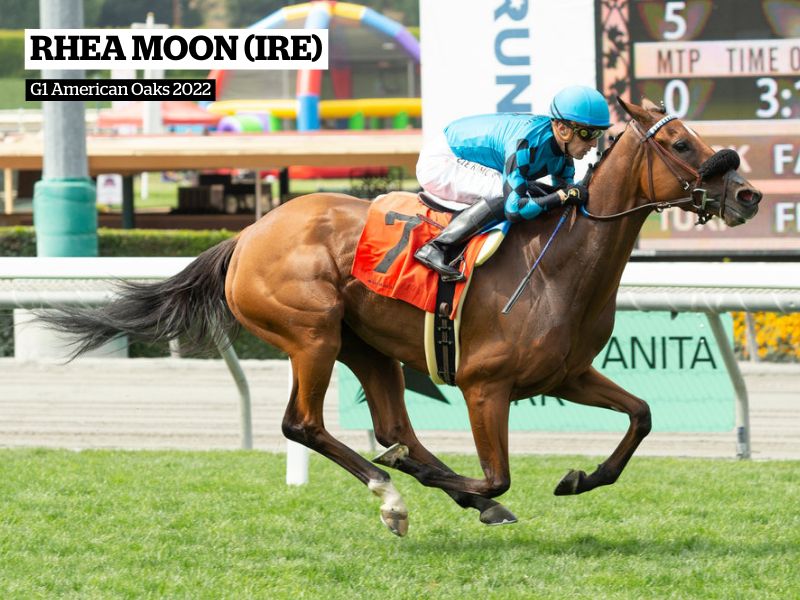 Irish Thoroughbred Marketing on LinkedIn: 🌕 RHEA MOON (IRE) 🏆 G1 ... Irish Thoroughbred Marketing on LinkedIn: 🌕 RHEA MOON (IRE) 🏆 G1 ...
