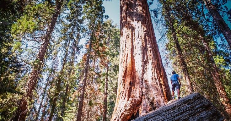 Will Raedeke on LinkedIn: Extracting Maximum Value From Logs - DZone Will Raedeke on LinkedIn: Extracting Maximum Value From Logs - DZone
