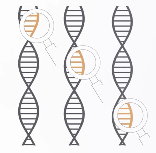 Genomics in Medical Specialties: Pathology | Genomics Education Programme Genomics in Medical Specialties: Pathology | Genomics Education Programme