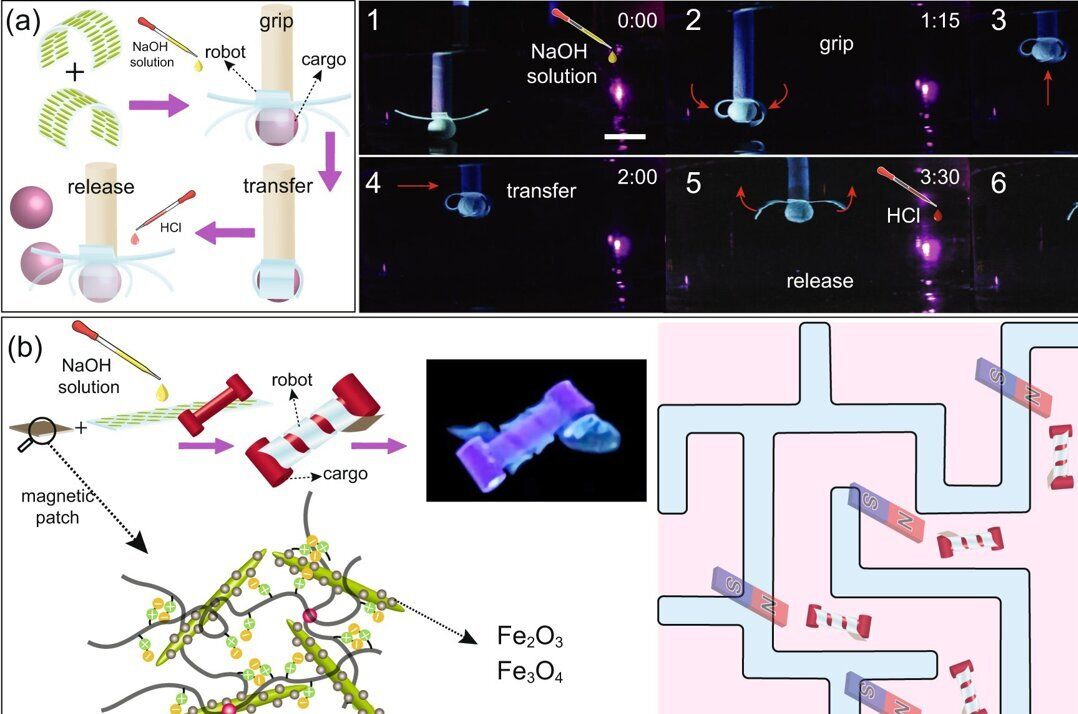 Phys.org on LinkedIn: Scientists demonstrate the transport of light ... Phys.org on LinkedIn: Scientists demonstrate the transport of light ...