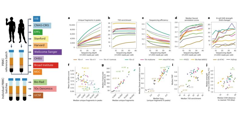Mauro Muraro on LinkedIn: Systematic benchmarking of single-cell ATAC ... Mauro Muraro on LinkedIn: Systematic benchmarking of single-cell ATAC ...