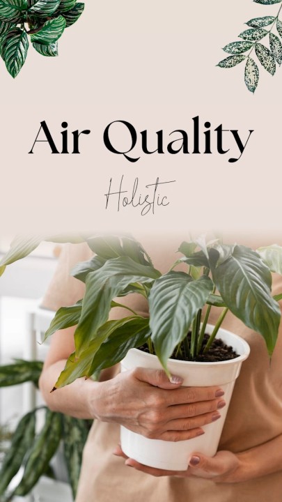 #airquality | Erica Steele DNM, ND, CFMP, BCND MPH #airquality | Erica Steele DNM, ND, CFMP, BCND MPH