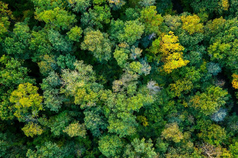 Simon Osborne on LinkedIn: Three simple ways to improve your carbon ... Simon Osborne on LinkedIn: Three simple ways to improve your carbon ...