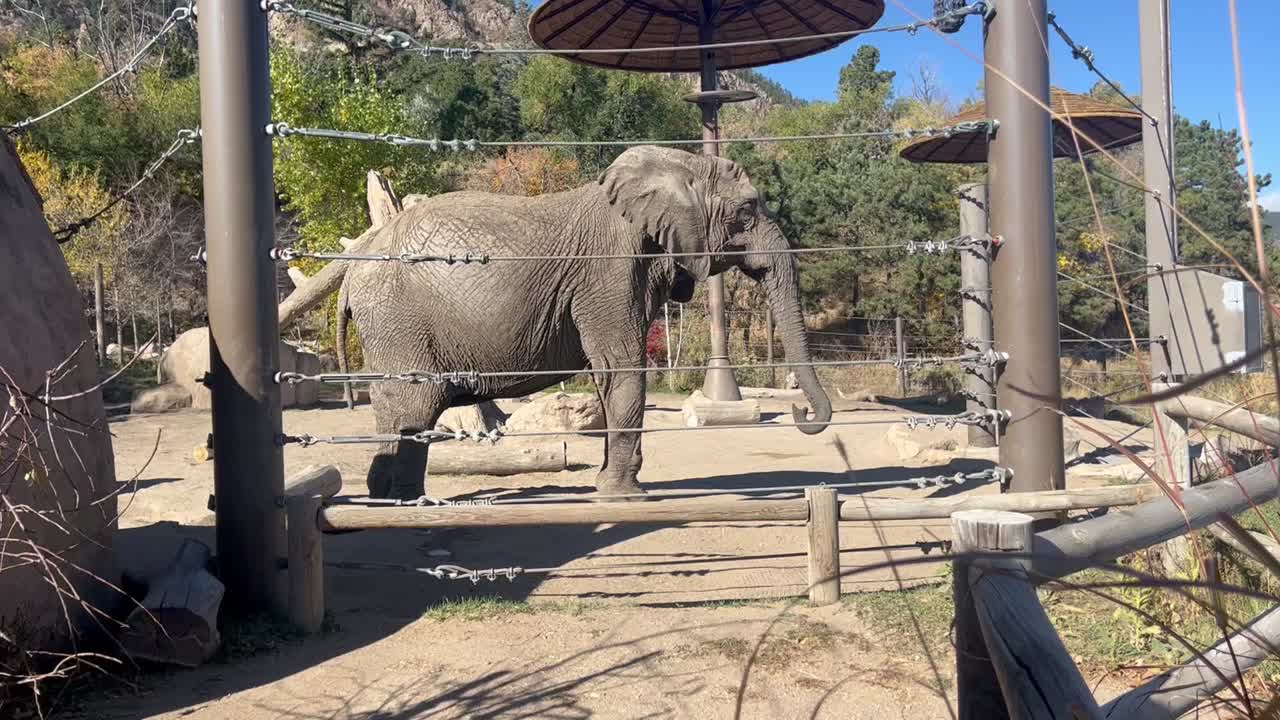 Steve Ardire on LinkedIn: LouLou isn't dancing in the video below. This ... Steve Ardire on LinkedIn: LouLou isn't dancing in the video below. This ...