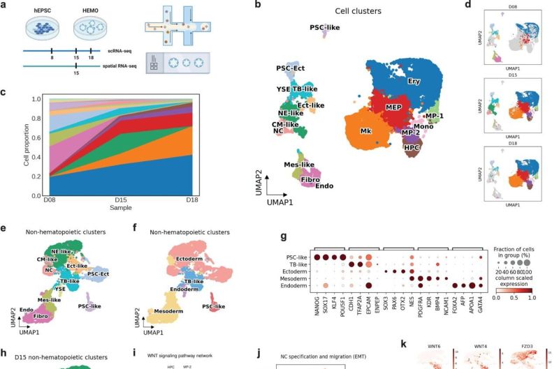 Phys.org on LinkedIn: Researchers develop a robust platform to generate ... Phys.org on LinkedIn: Researchers develop a robust platform to generate ...