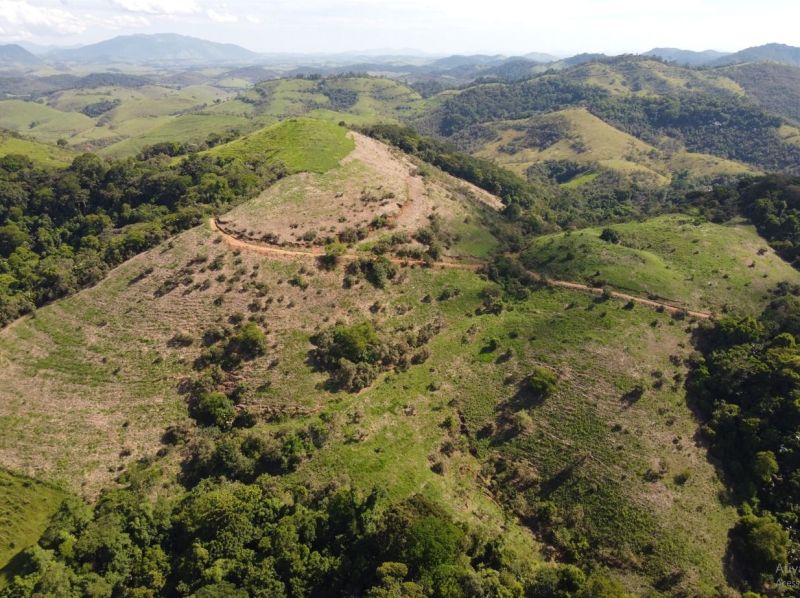 Saving Nature on LinkedIn: #forestrestoration #treeplanting #rewilding ... Saving Nature on LinkedIn: #forestrestoration #treeplanting #rewilding ...