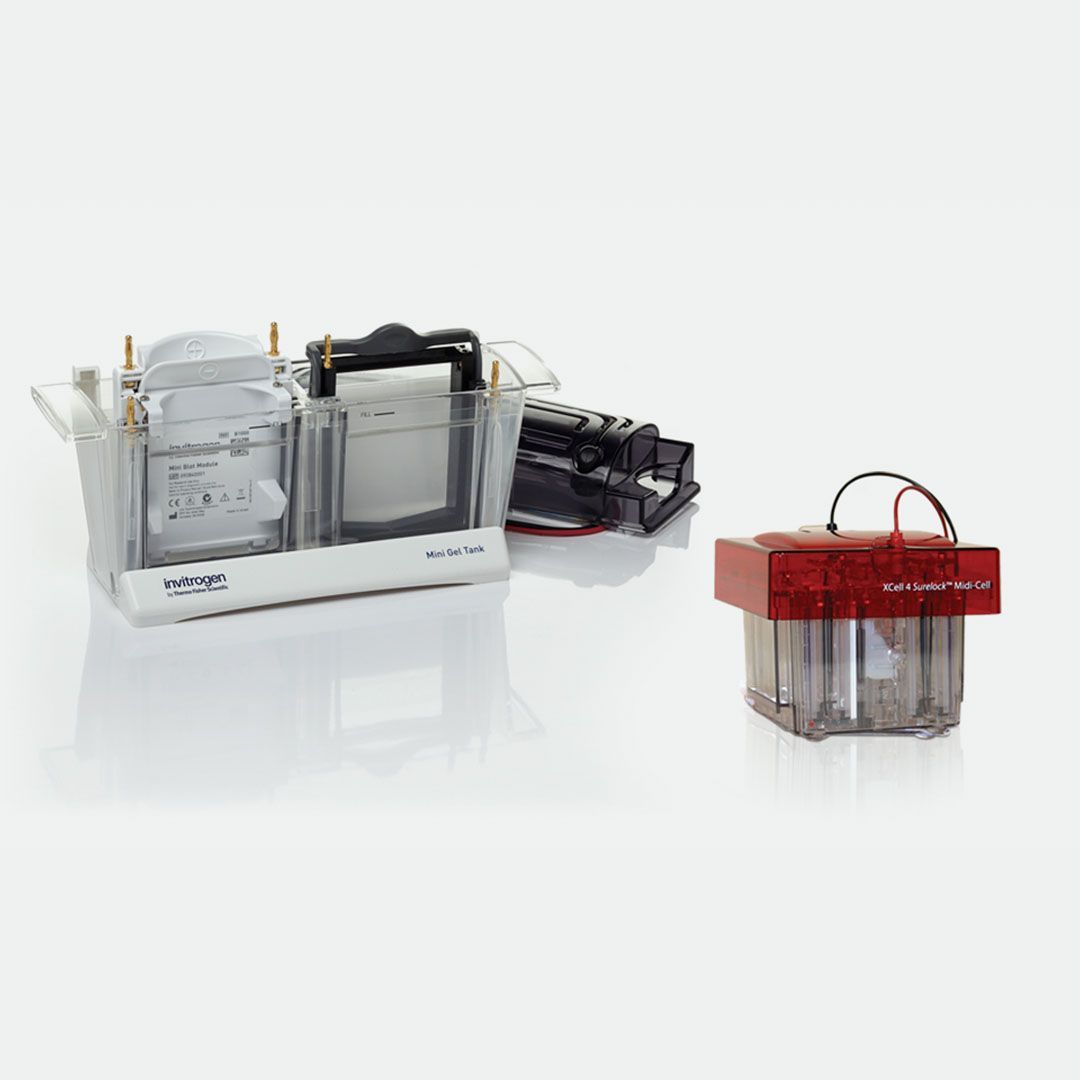 Melanie (Bing Yu) Zou, MS on LinkedIn: 📢 Upgrade your gel tank for $1 ... Melanie (Bing Yu) Zou, MS on LinkedIn: 📢 Upgrade your gel tank for $1 ...