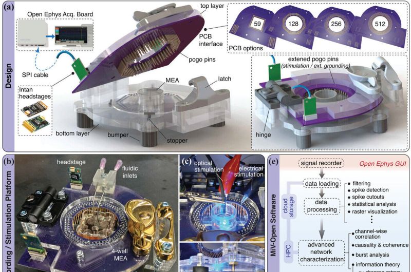 Phys.org on LinkedIn: Researchers design new open-source technology for ... Phys.org on LinkedIn: Researchers design new open-source technology for ...