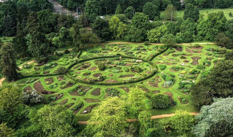 Phys.org on LinkedIn: Botanic gardens must team up to save wild plants ... Phys.org on LinkedIn: Botanic gardens must team up to save wild plants ...