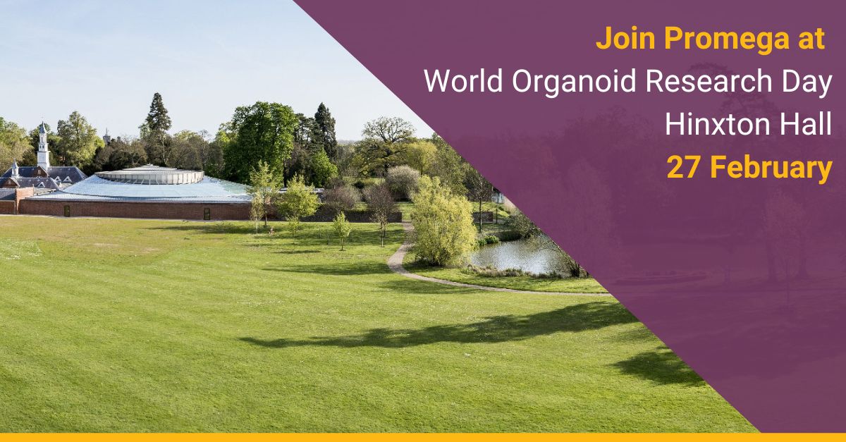 Promega UK on LinkedIn: #labchat #organoids Promega UK on LinkedIn: #labchat #organoids