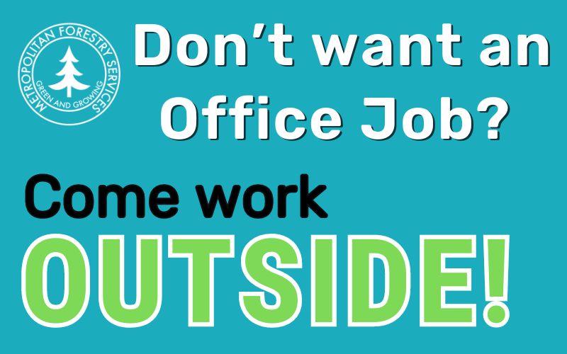 Attention arborists, horticulturalists, landscapers, and tree ... Attention arborists, horticulturalists, landscapers, and tree ...