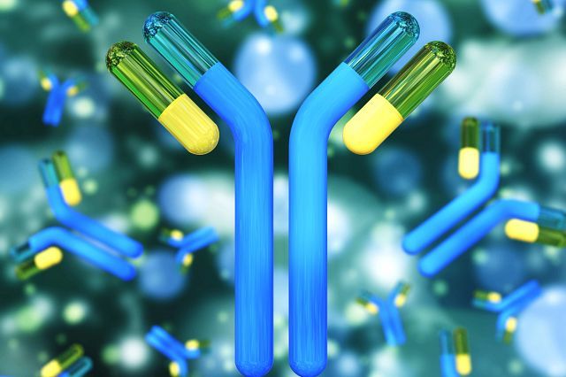 Maria Eugenia Herva Moyano (she/her) LinkedIn‘de: Antibody ... Maria Eugenia Herva Moyano (she/her) LinkedIn‘de: Antibody ...