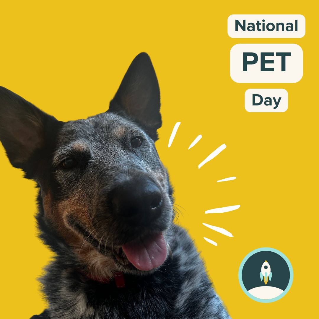 #nationalpetday #thecodingspace #codingforbeginners #kidswhocode… | The ... #nationalpetday #thecodingspace #codingforbeginners #kidswhocode… | The ...