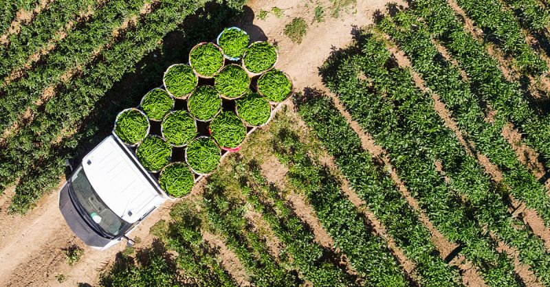 Tax-Loss Harvesting Can Work Year-Round for Investors—Here’s How ... Tax-Loss Harvesting Can Work Year-Round for Investors—Here’s How ...