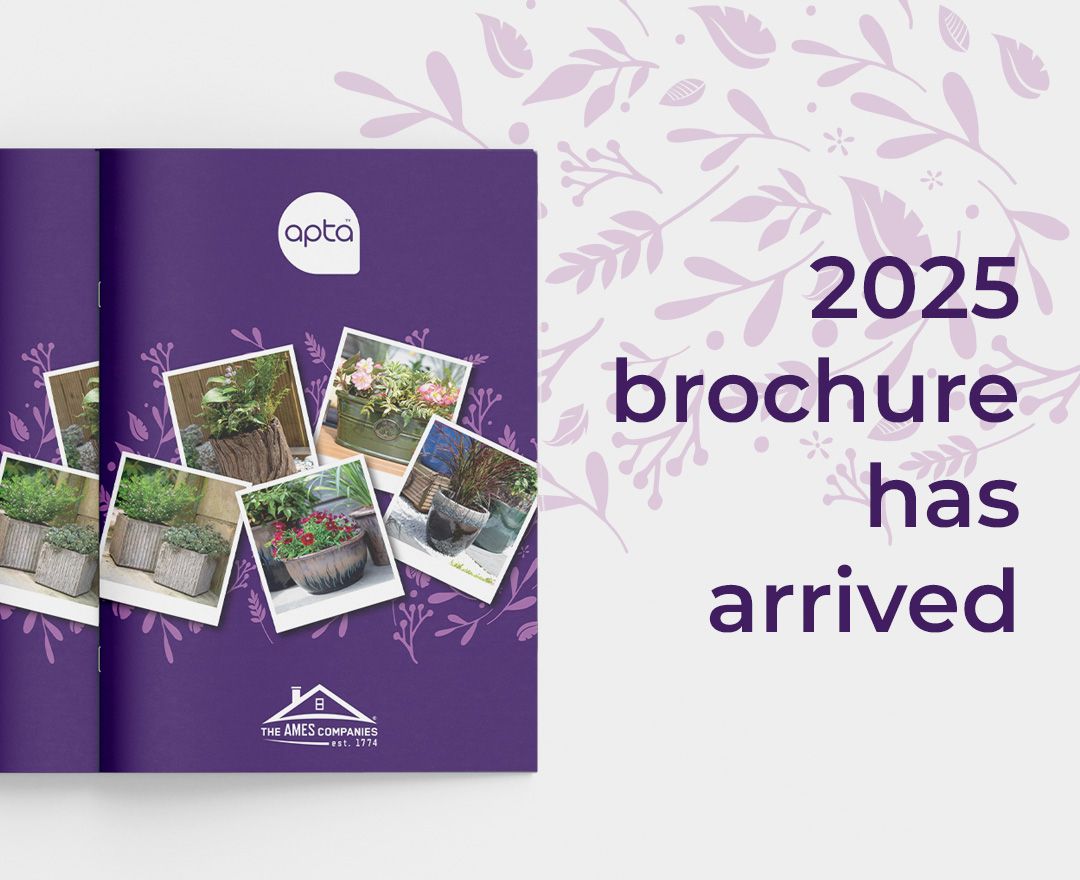 Apta Pottery on LinkedIn: The 2025 Apta brochure is here! 📖 Dive in to ... Apta Pottery on LinkedIn: The 2025 Apta brochure is here! 📖 Dive in to ...