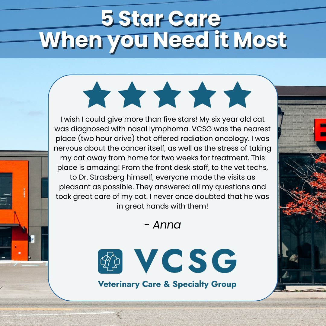 We love our Radiation Oncology Department! At VCSG we take pride in ... We love our Radiation Oncology Department! At VCSG we take pride in ...
