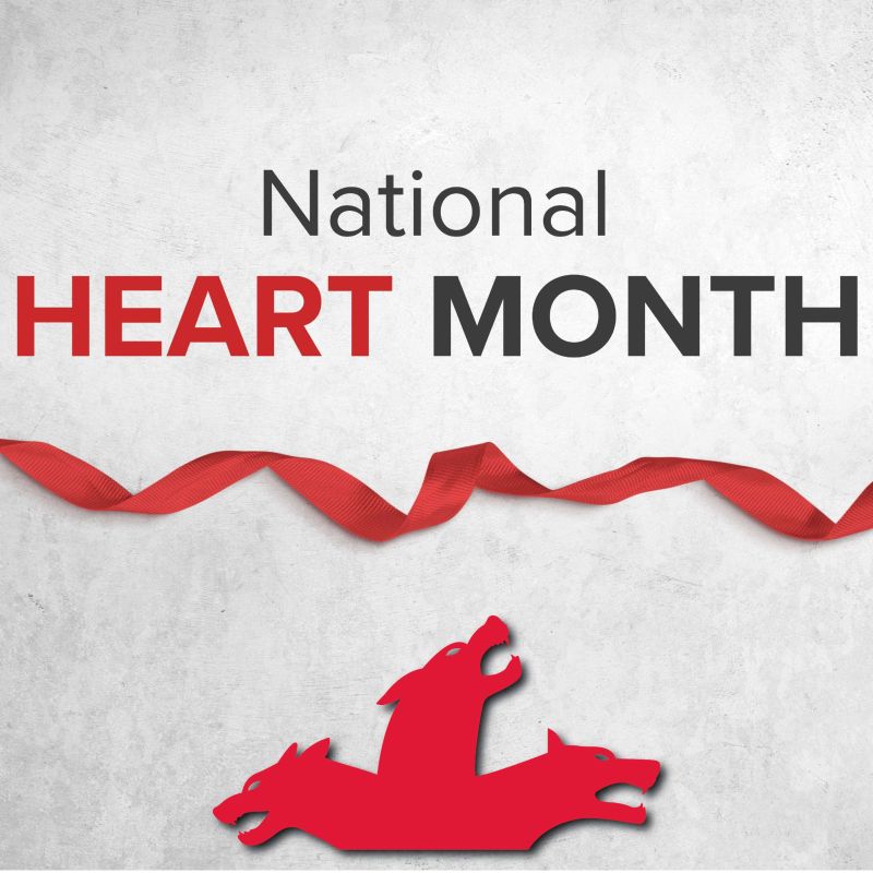 MCR Safety on LinkedIn: As we conclude American Heart Month, MCR Safety ... MCR Safety on LinkedIn: As we conclude American Heart Month, MCR Safety ...