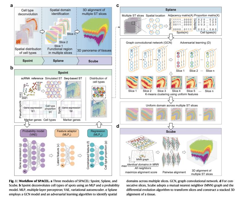 Eric Feuilleaubois (Ph.D) on LinkedIn: Meet SPACEL: A New Deep-Learning ... Eric Feuilleaubois (Ph.D) on LinkedIn: Meet SPACEL: A New Deep-Learning ...