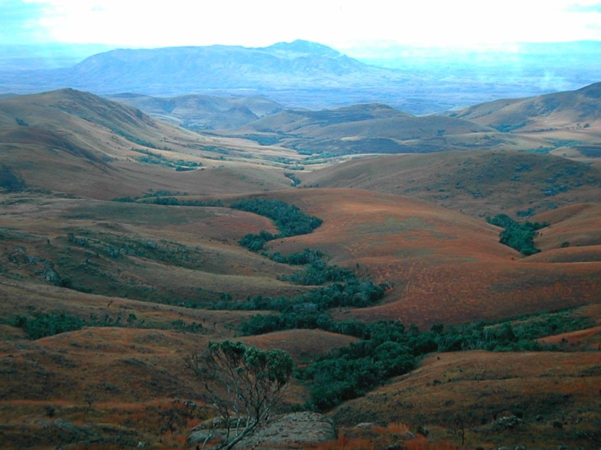 Christian Kull on LinkedIn: Tany malalaka: settling new land in the ... Christian Kull on LinkedIn: Tany malalaka: settling new land in the ...
