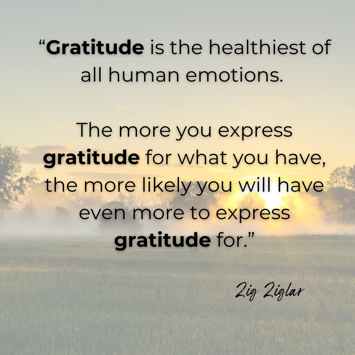 Amanda Robin on LinkedIn: Gratitude can change your attitude Amanda Robin on LinkedIn: Gratitude can change your attitude