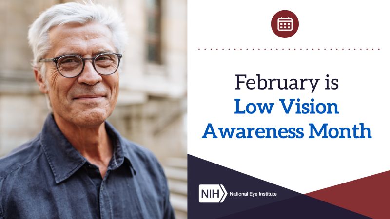 National Eye Institute (NEI) on LinkedIn: #lowvisionawarenessmonth # ... National Eye Institute (NEI) on LinkedIn: #lowvisionawarenessmonth # ...