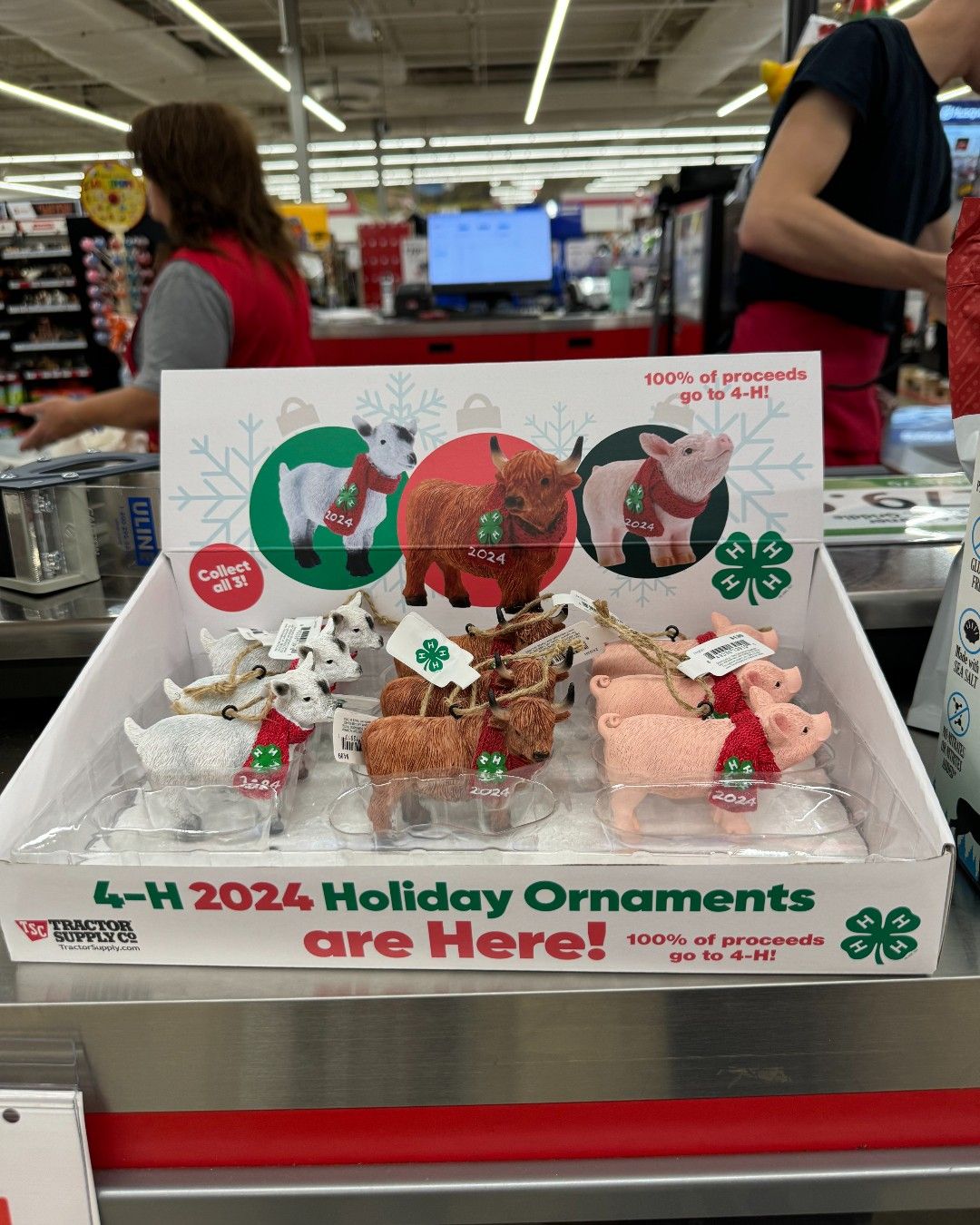 National 4-H Council on LinkedIn: #4hholiday National 4-H Council on LinkedIn: #4hholiday