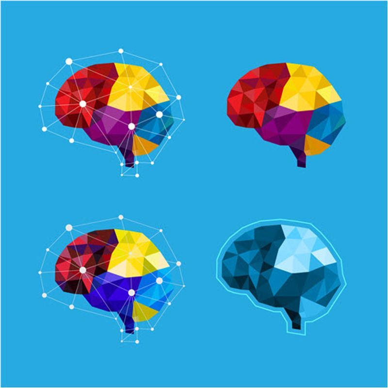 Akoya Biosciences, Inc. on LinkedIn: Context Is Key: Unlocking Tissue ... Akoya Biosciences, Inc. on LinkedIn: Context Is Key: Unlocking Tissue ...
