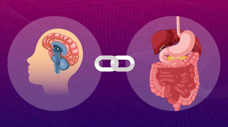 Decoding How the Brain Manages the Appetite for Salt and Water ... Decoding How the Brain Manages the Appetite for Salt and Water ...
